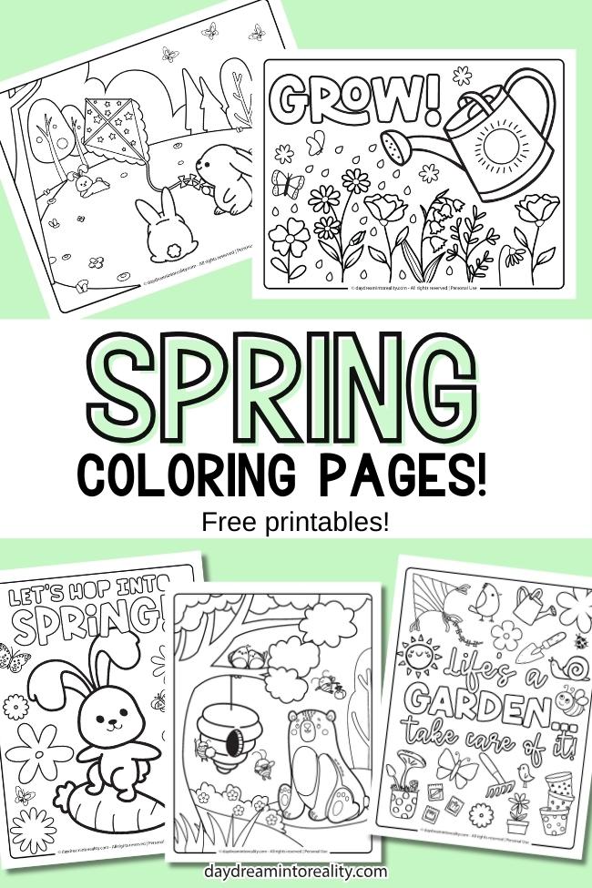 35+ Spring Coloring Pages | Free PDF Printables! ~ Daydream Into Reality
